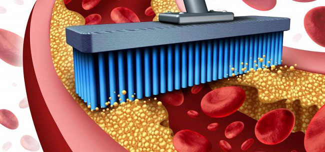 Top 10 Foods to Keep Your Arteries Clean | SOMEONE SOMEWHERE